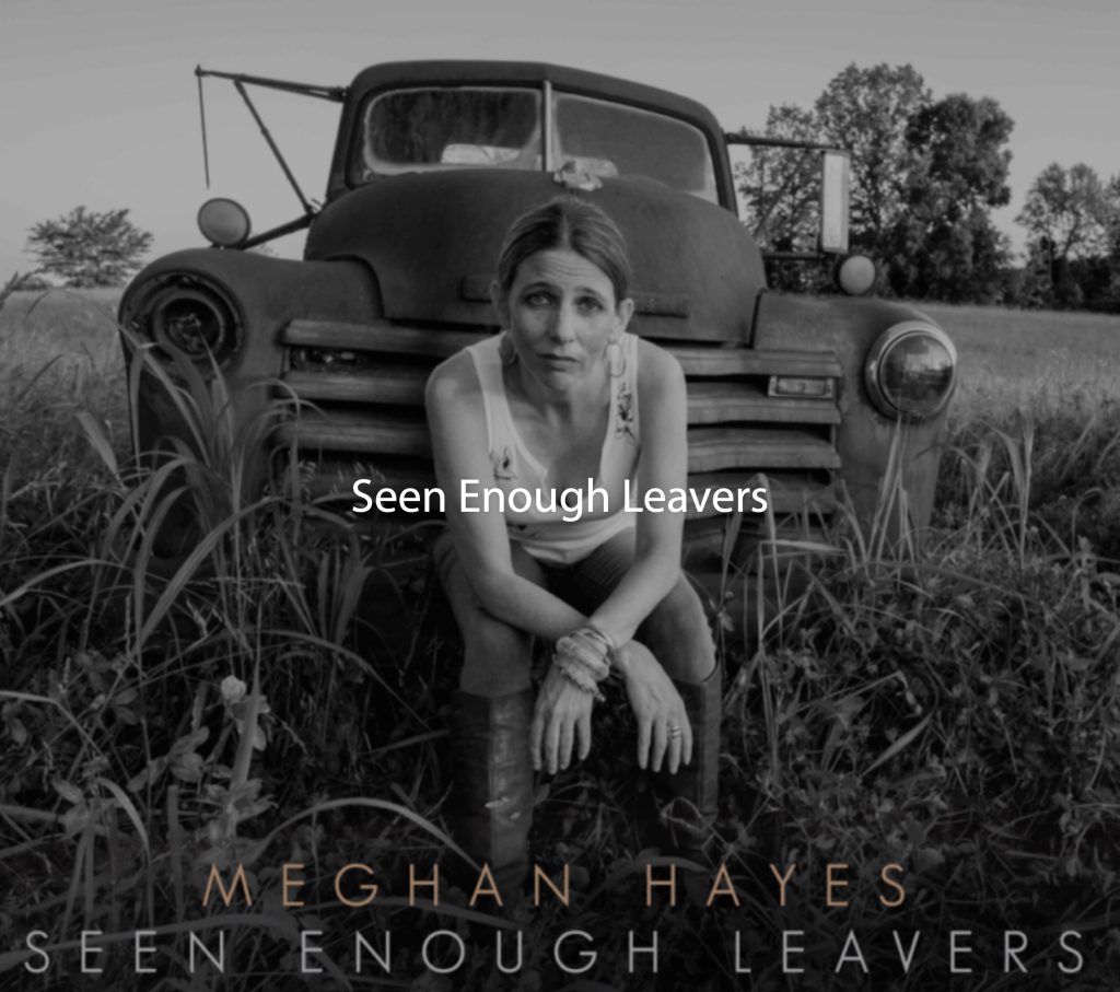 Bob Dylan’s Rolling Thunder Revue, Take Two; plus Chip & Tony Kinman ...